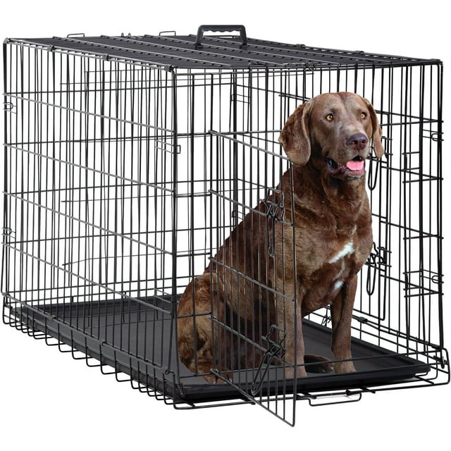 CL.HPAHKL 48 Inch Double Door Folding Portable Metal Dog Crates for ...