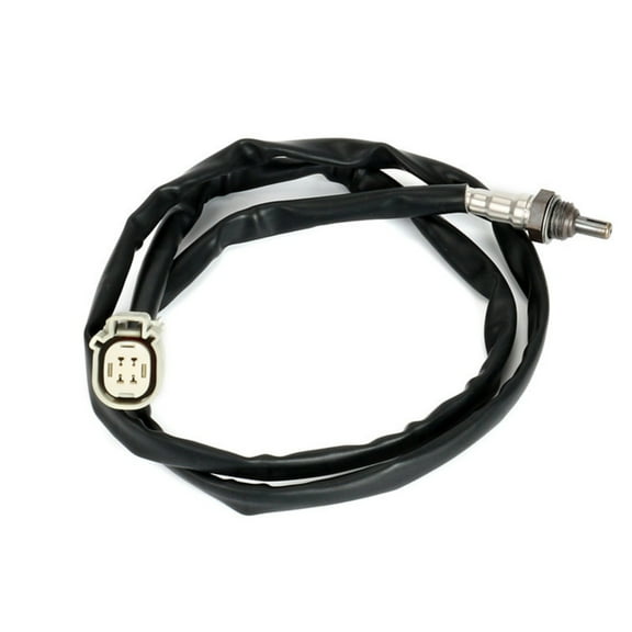 Harley Davidson Oxygen Sensor