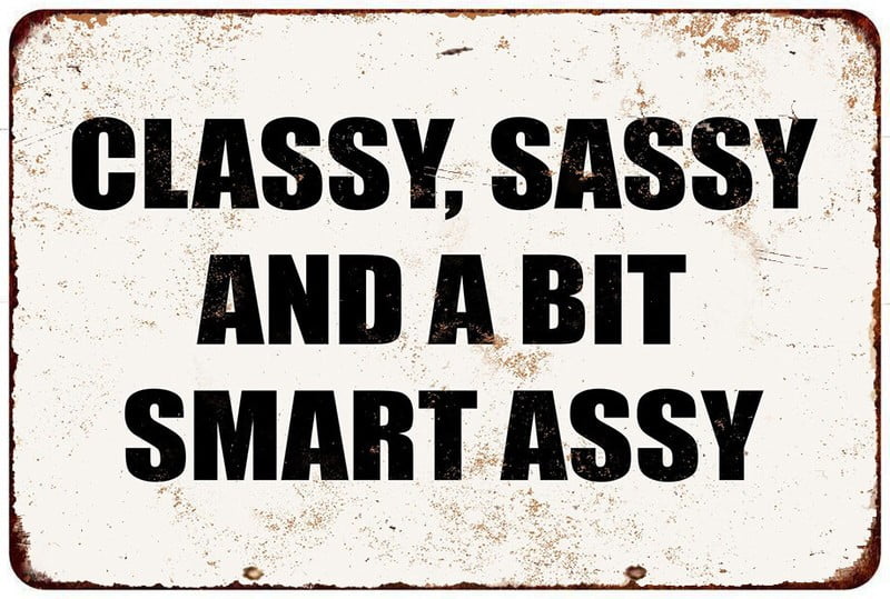 CLASSY SASSY AND A BIT SMART ASSY Funny Vintage Reproduction metal sign ...