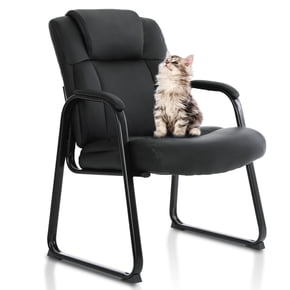 Chairs Arm Rests