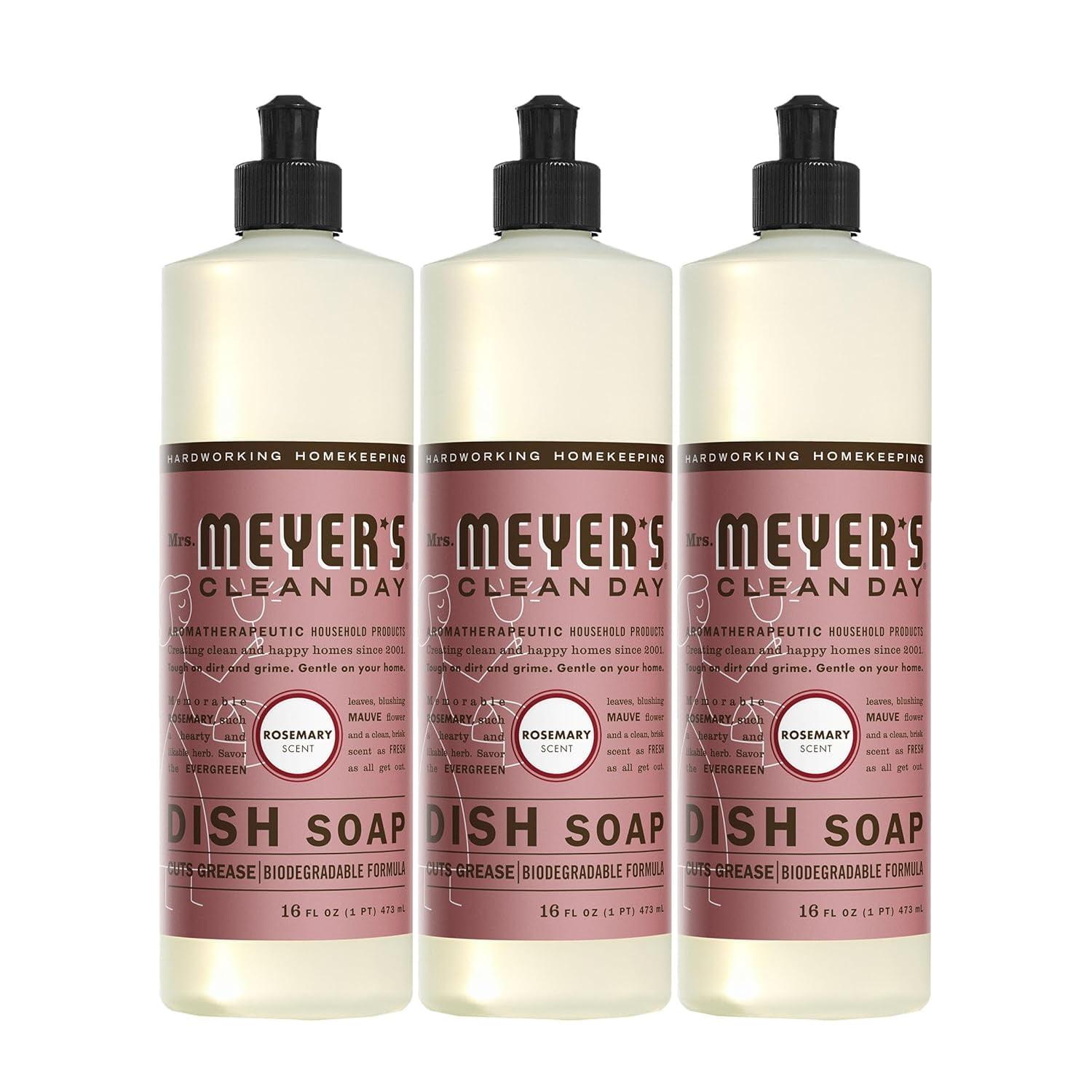 CLEAN DAY Liquid Dish Soap, Rosemary Scent, 16 Ounce Bottle, Pack of 3 ...