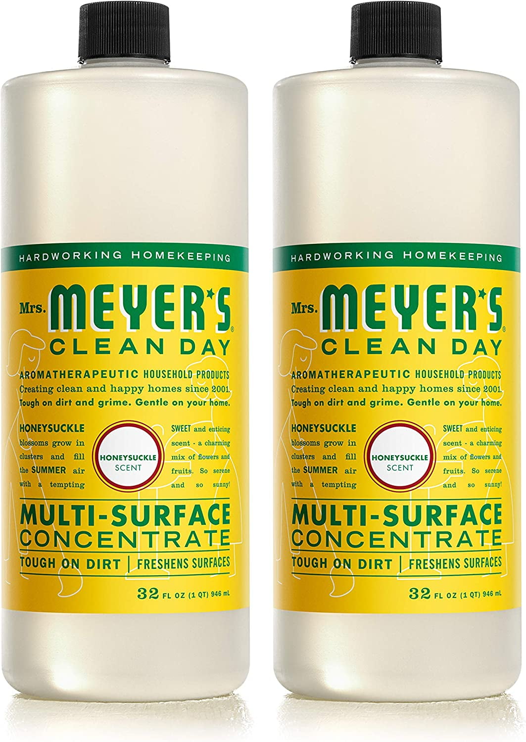 CLEAN DAY Multi-Surface Cleaner Concentrate, Use to Clean Floors, Tile ...