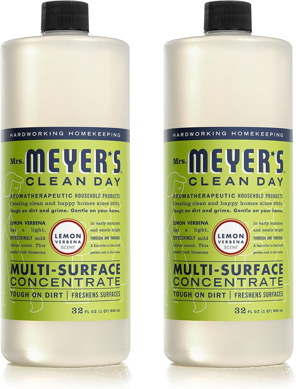 CLEAN DAY Multi-Surface Cleaner Concentrate, Use to Clean Floors, Tile ...