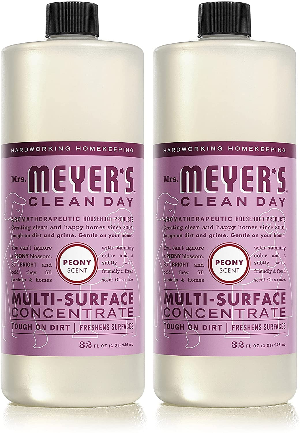 CLEAN DAY Multi-Surface Cleaner Concentrate, Use to Clean Floors, Tile ...