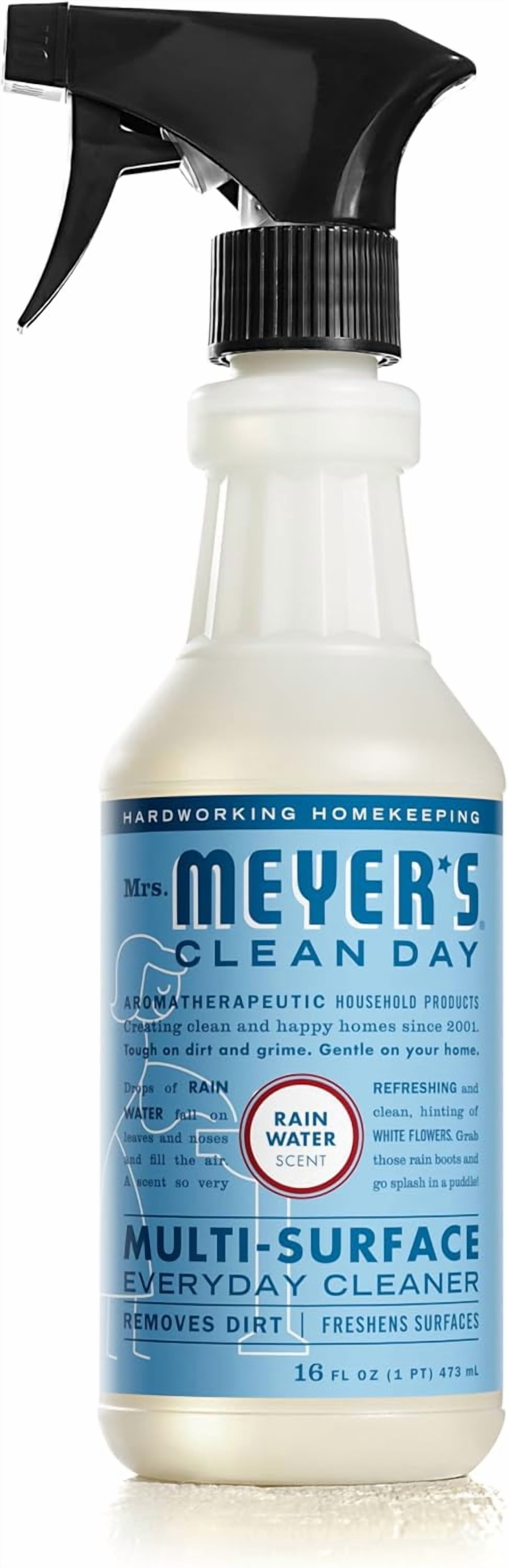 CLEAN DAY Multi-Surface Everyday Cleaner, Rain Water Scent, 16 Ounce ...