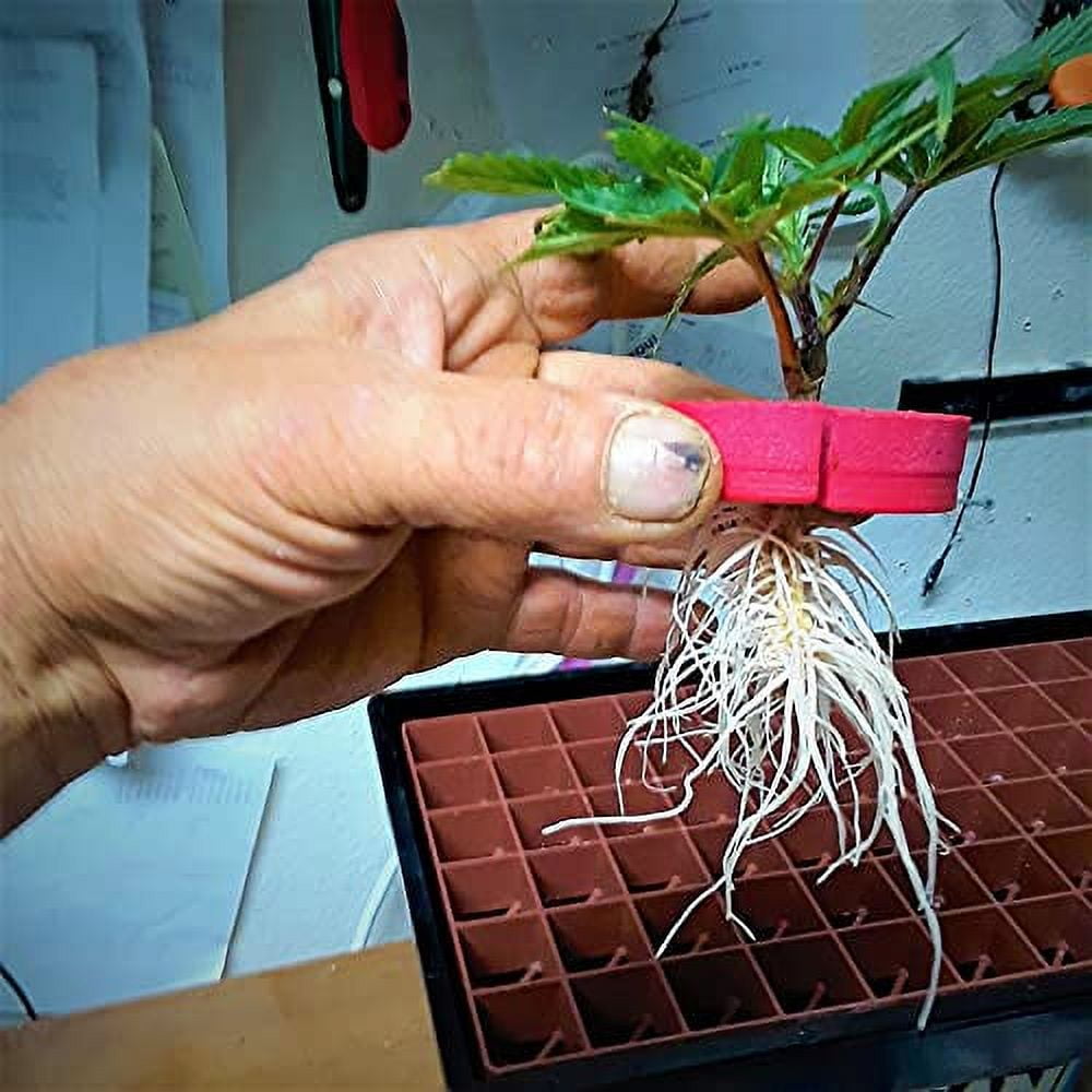 CLONE KING 25 Site Aeroponic Cloning Machine Expect 100% Success Rates ...