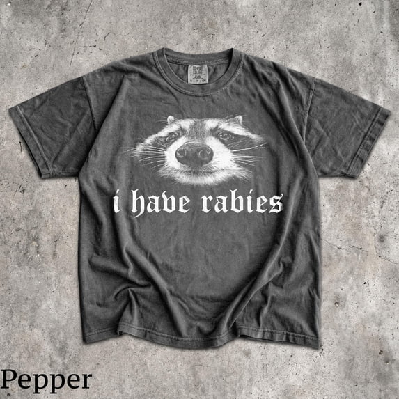CLOTEX I Have T-Shirt, Unisex Graphic Tee, Vintage 90s Meme Shirt ...