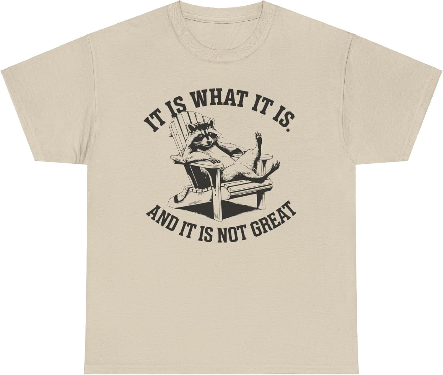 CLOTEX It Is What It Is Funny Meme Graphic Tee Quirky Unisex Humor ...