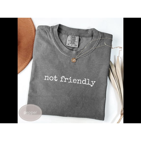 CLOTEX Not Friendly Shirt, Comfort Colors T-Shirt, Funny Saying, Funny ...