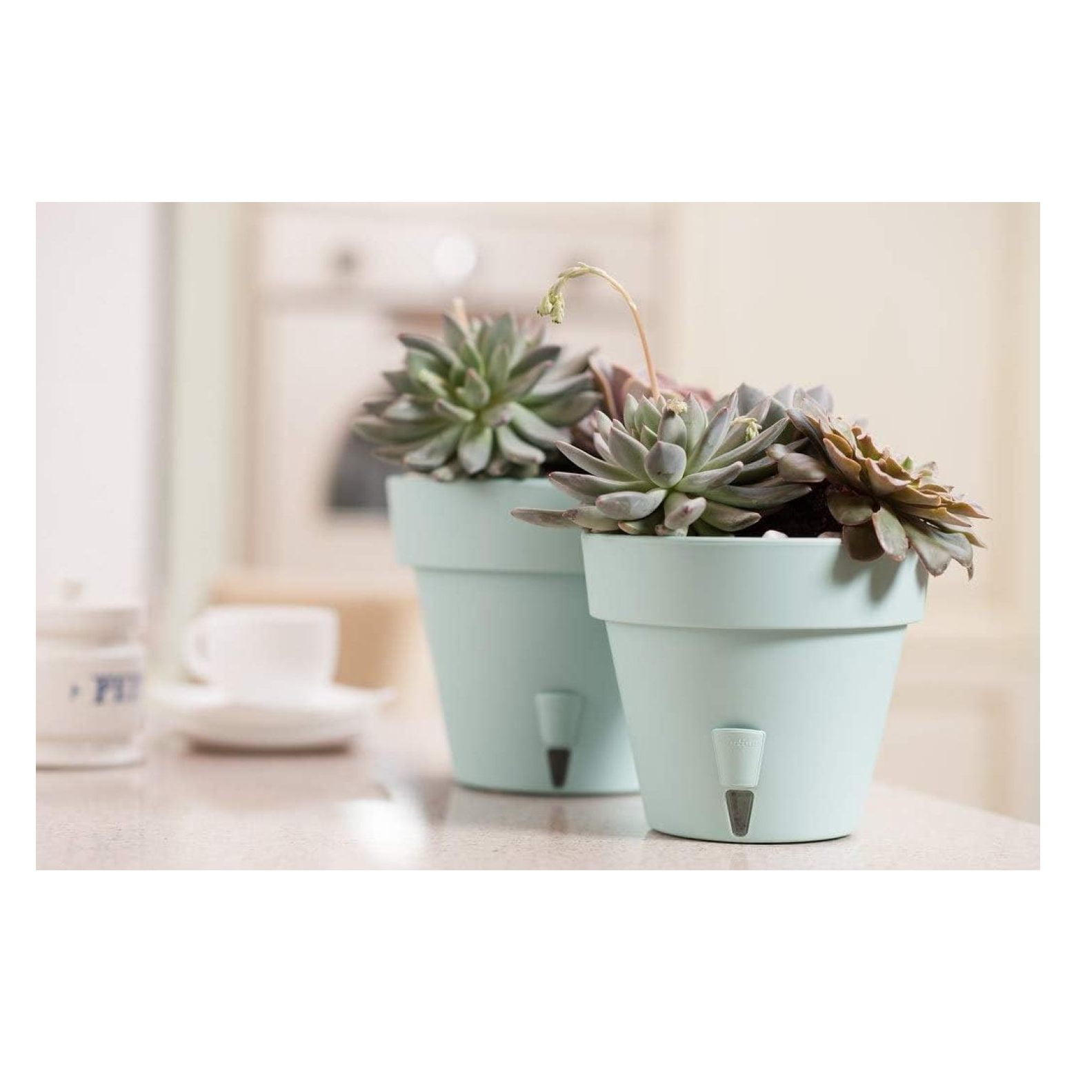 CLkPde 6.9" Latina Self Watering Planters (Set of 3) in Sand - Indoor ...