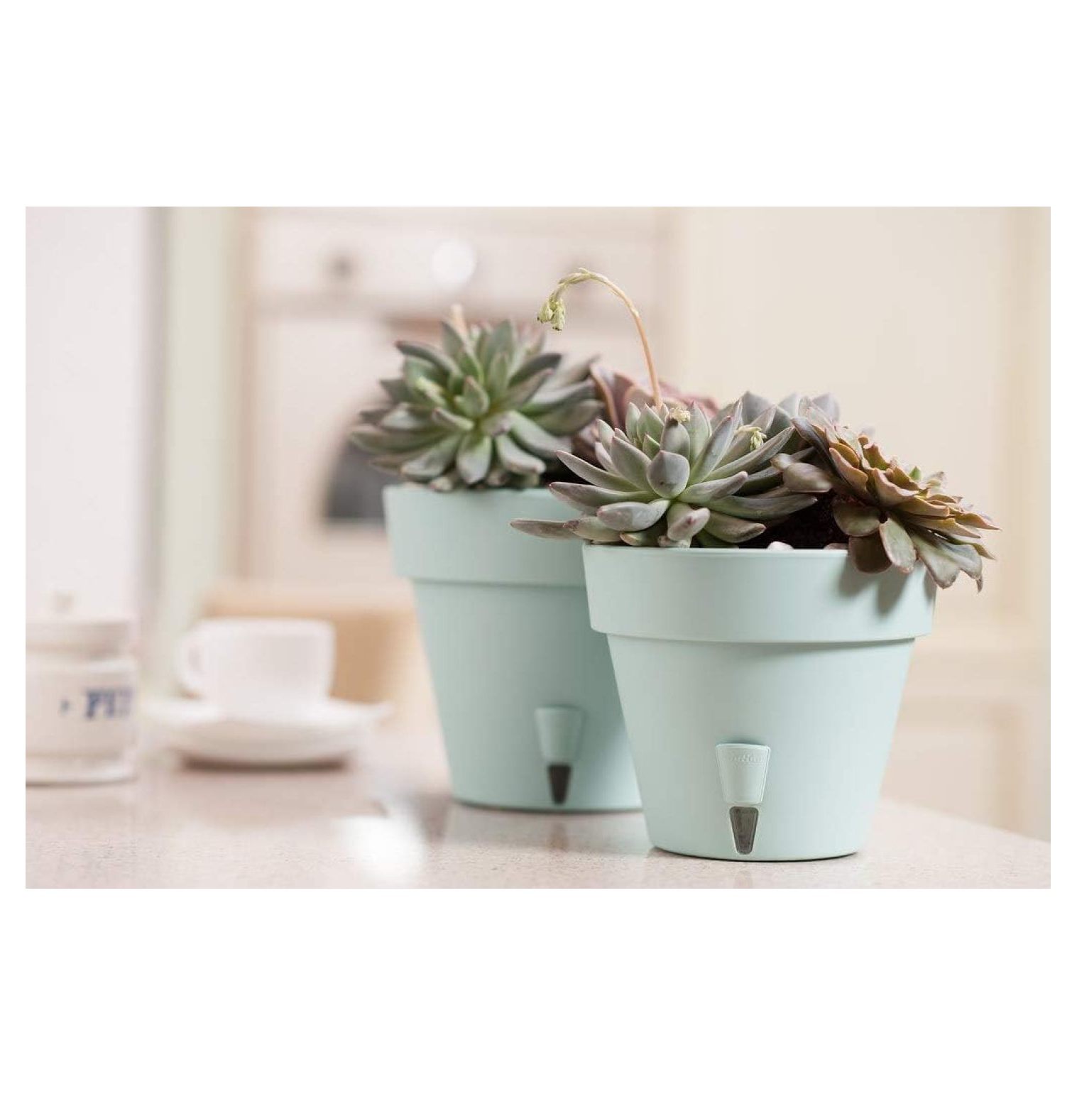CLkPde 6.9" Latina Self Watering Planters (Set of 3) in Shade - Flower ...