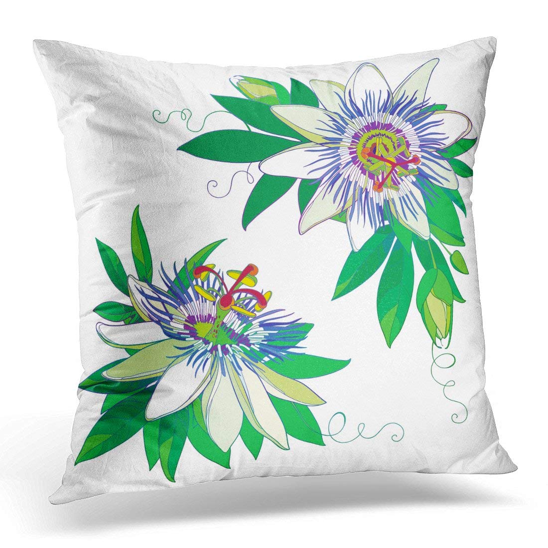 CMFUN Tropical Blue Passiflora Passion Flower Outline Exotic Bud and ...