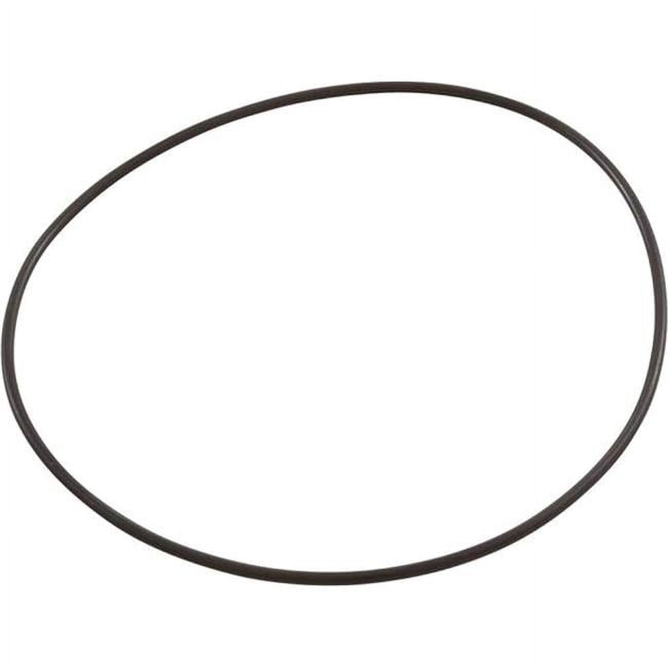 CMHP & CP Pump Volute O-Ring - Walmart.com