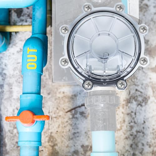 CMP 2 Pack Jandy 7056 Check Valve Cover Flapper Kit Replacement 25830 ...