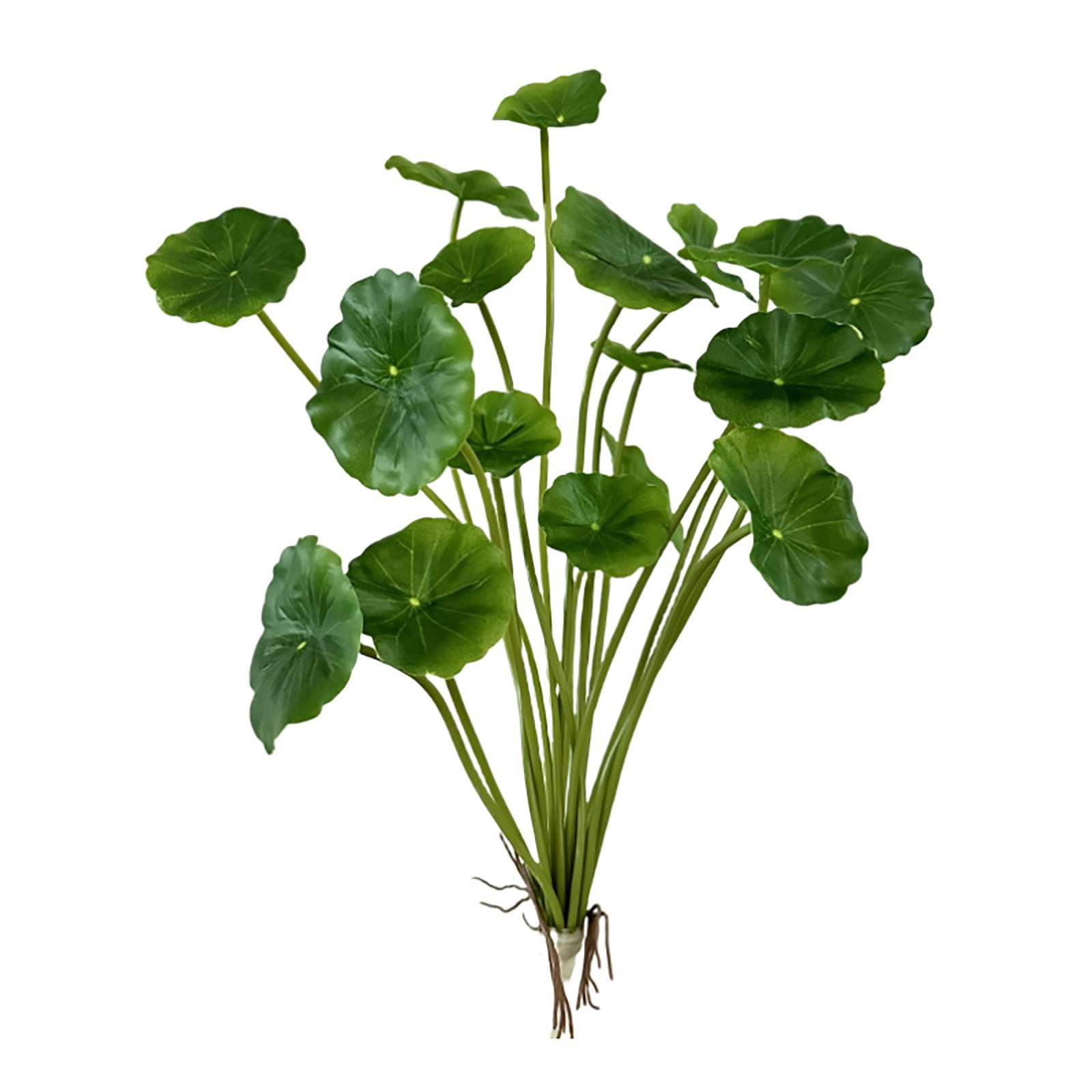 CMrtew Seven Leaf Live Plant (7-Leaf) Indoor Houseplant for Home ...
