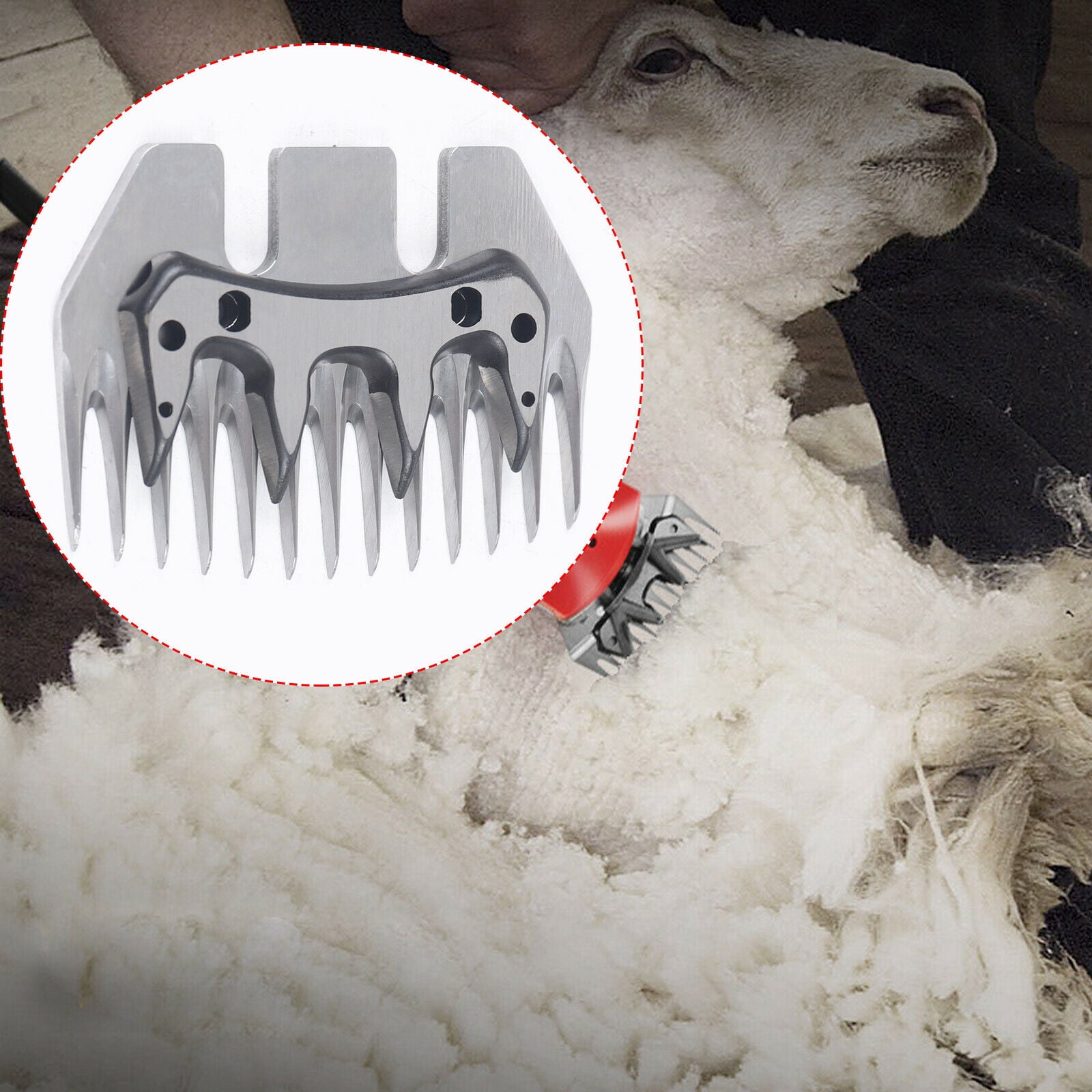 CNCEST 13T Goat Wool Supply Scissor Sheep Shearing Cutter Comb Blade ...