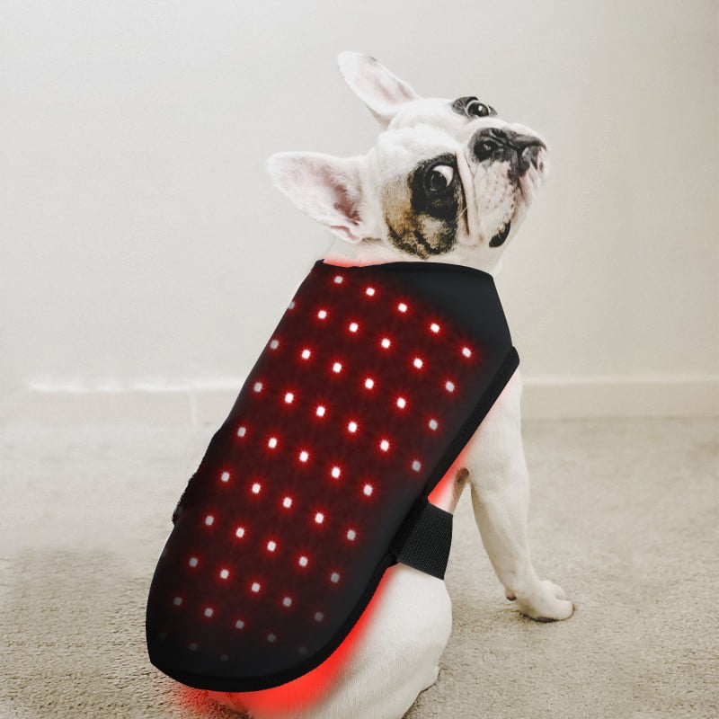 CNV Professional LED Pet Wellness Wrap for Dogs and Cats, Portable Red ...