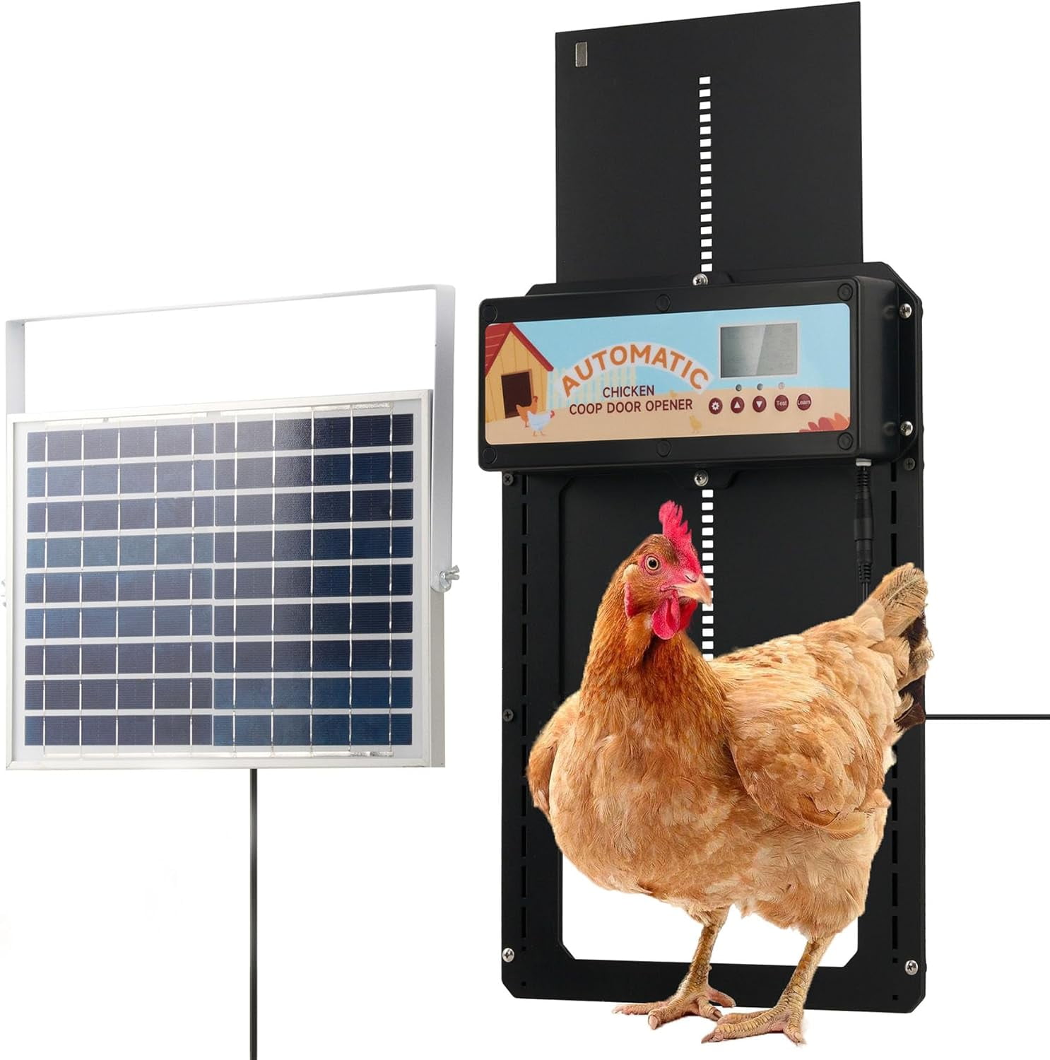 CO-Z Automatic Chicken Coop Door, Solar Automatic Chicken Door with ...