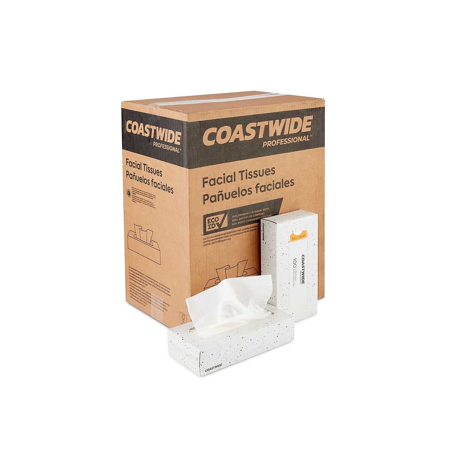 COASTWIDE Professional 2-Ply Recycled Facial Tissue, 100 Sheets/Box ...
