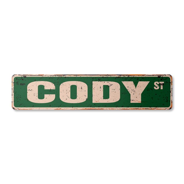 CODY Vintage Plastic Street Sign Childrens Name Room Sign | Indoor ...