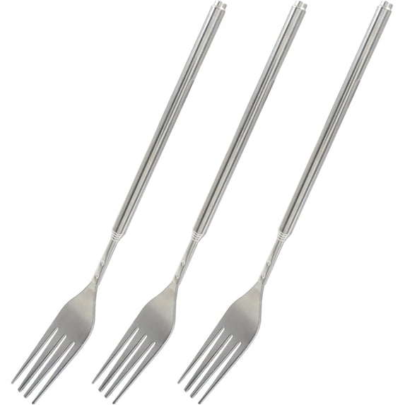 COEQWD-3 Pcs Extendable Fork - Telescopic Stainless Steel Dinner Fork ...