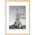 COEQWD-A3 Picture Frame, Display Pictures 8.3x11.7 with Mat or 11.7 x ...