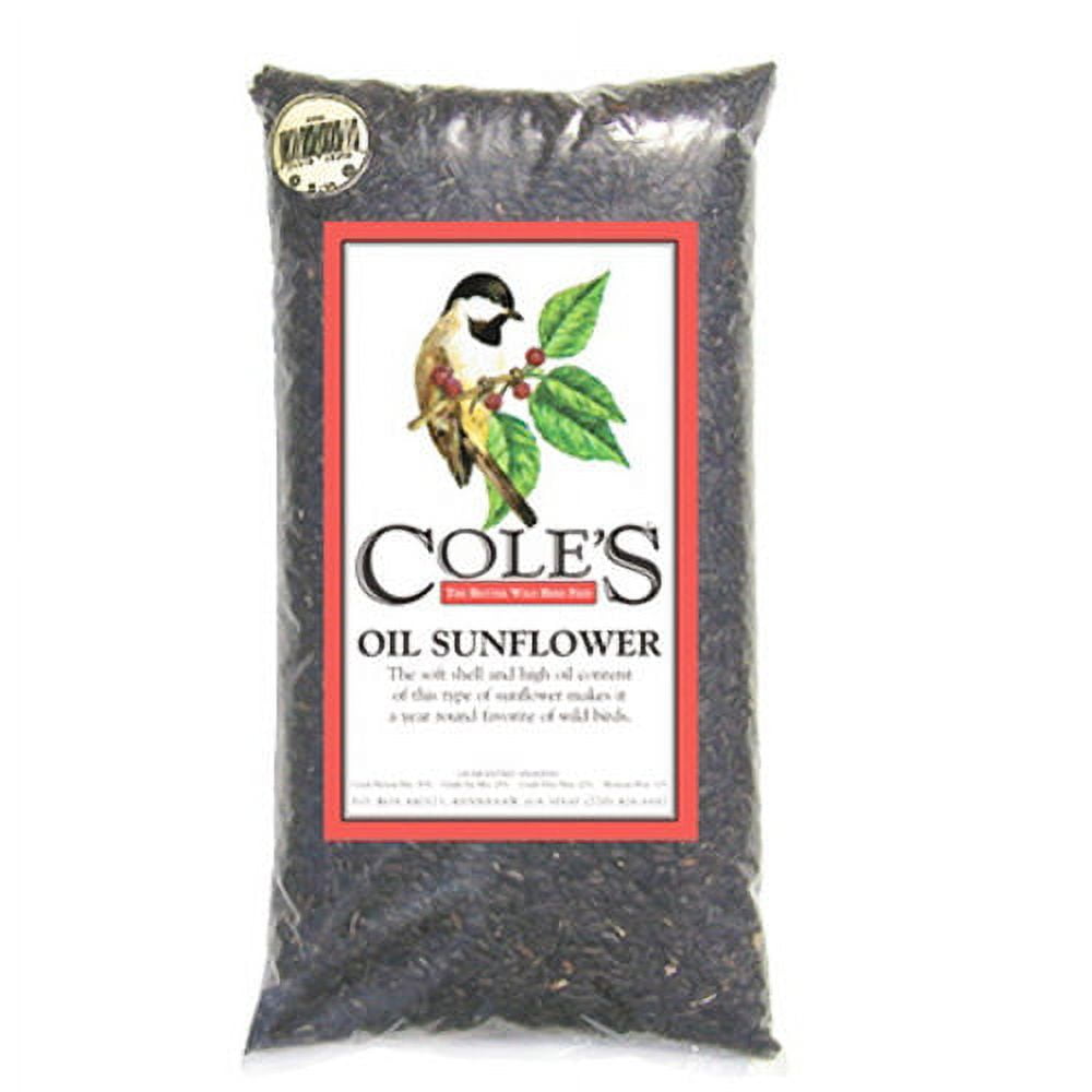 COLES WILD BIRD PRODUCTS INC Wild Bird Food, Black Oil Sunflower, 16 ...