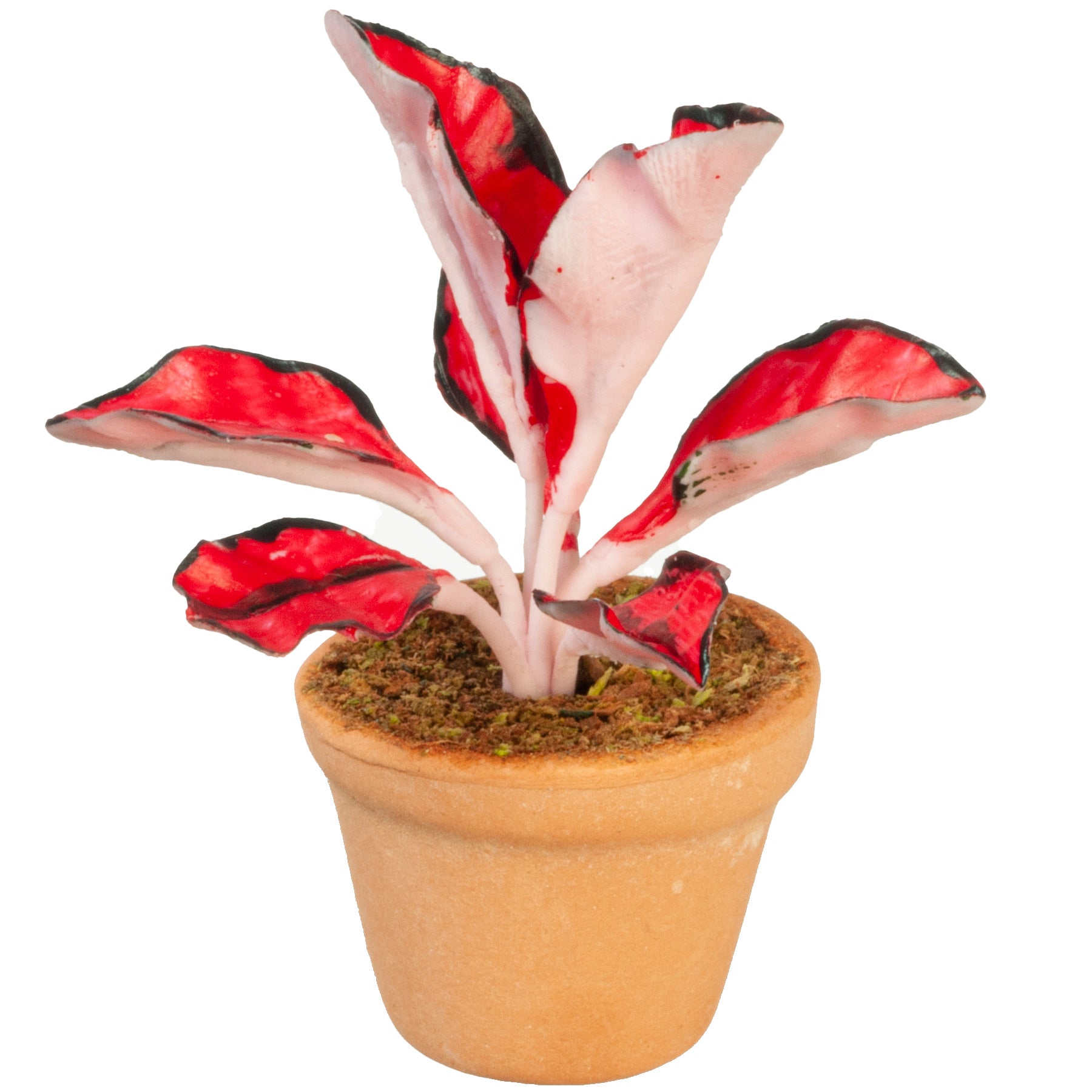 COLEUS PLANT IN POT Miniature Scale - Walmart.com