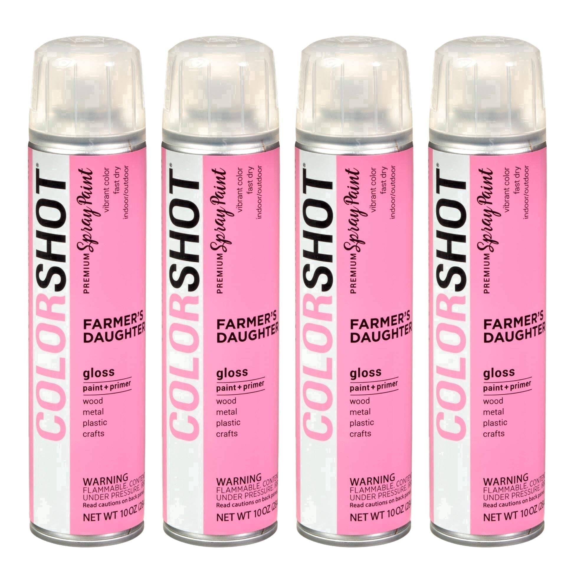 COLORSHOT Premium Gloss Spray Paint, Farmer's Daughter Pink, 10 oz, 4 ...
