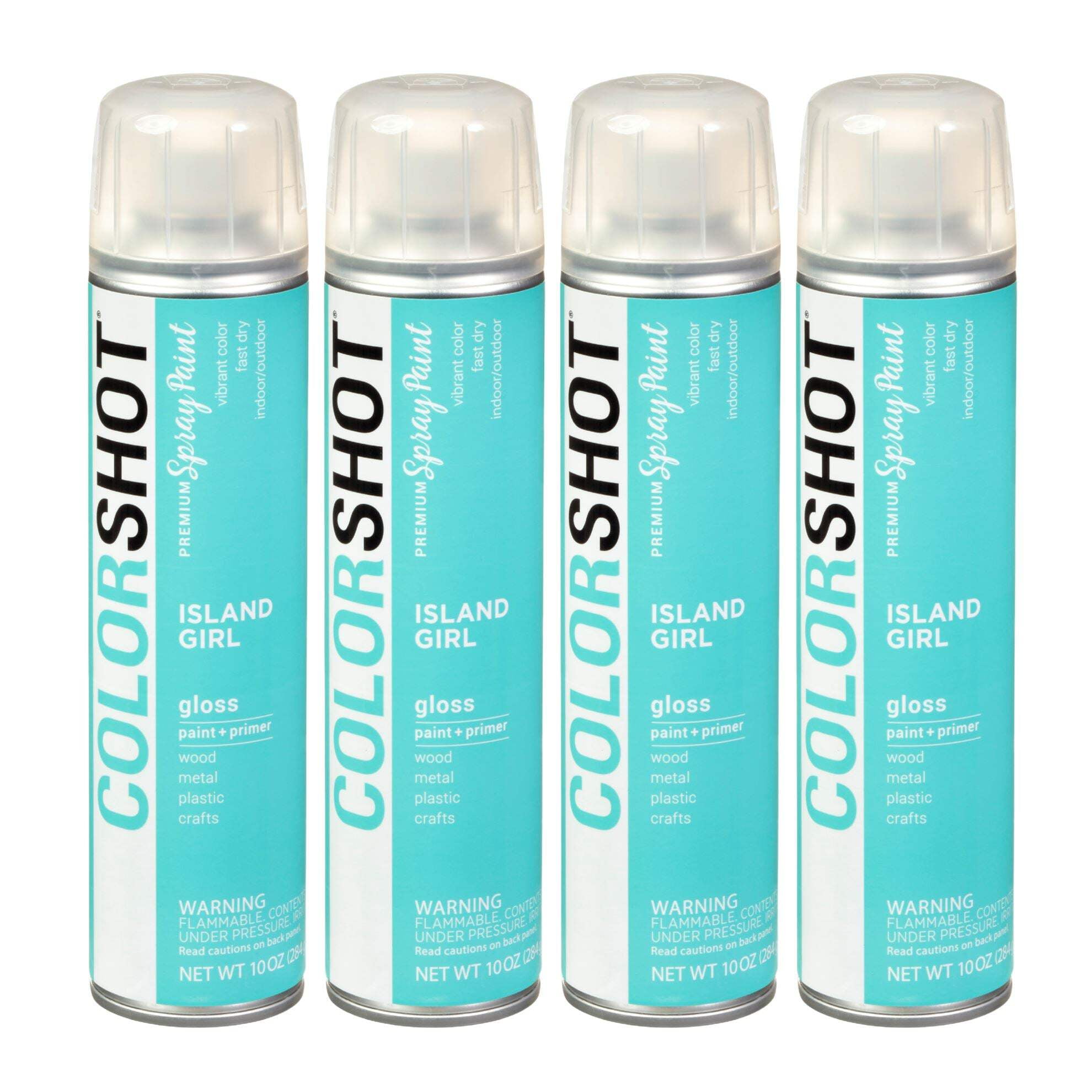 COLORSHOT Gloss Spray Paint Island Girl (Mint) 10 oz. 4 Pack - Walmart.com
