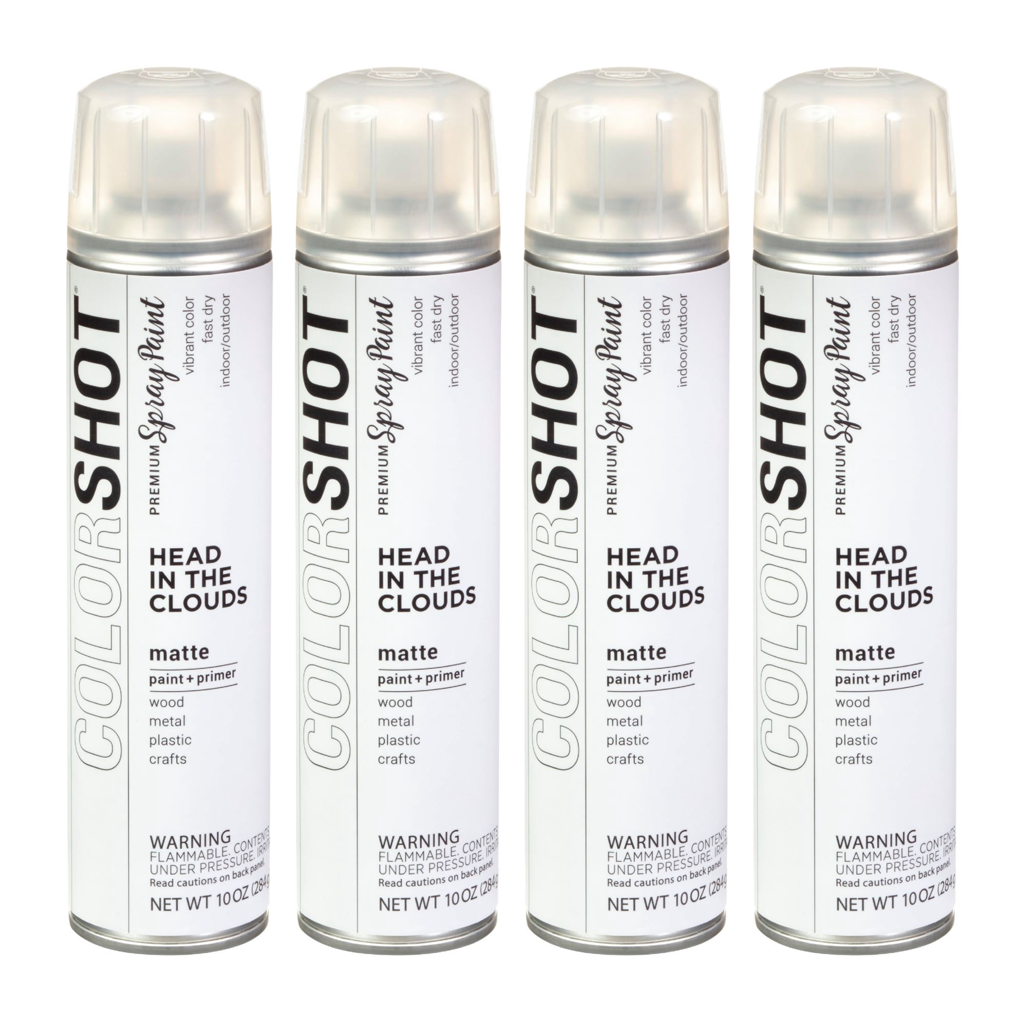 COLORSHOT Matte Spray Paint Head in the Clouds (White) 10 oz. 4 Pack ...