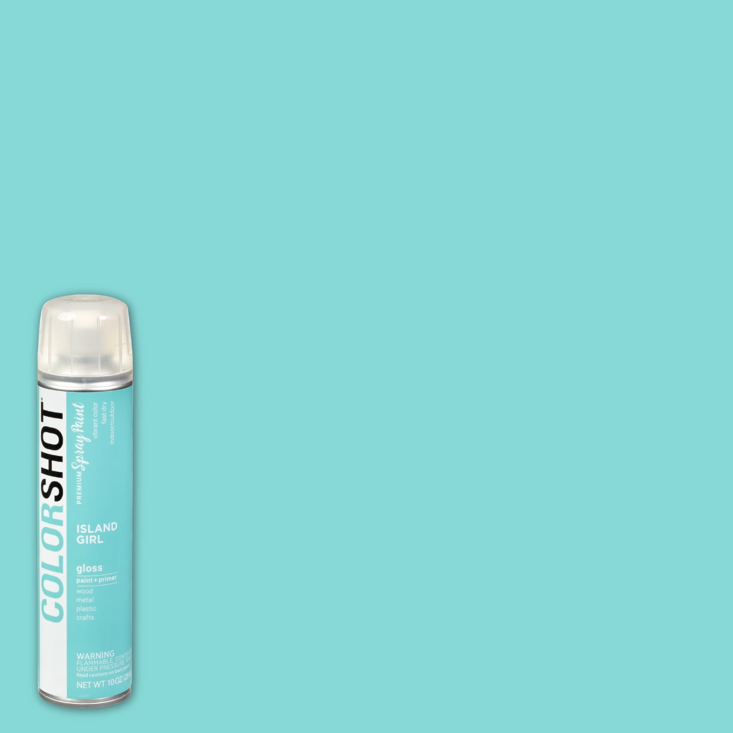 COLORSHOT Premium Multi-Surface Gloss Island Girl Spray Paint - 10 oz ...