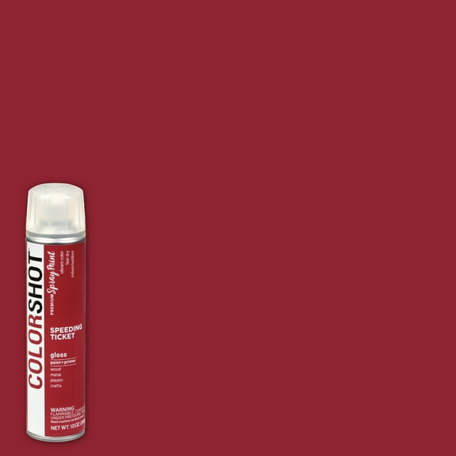 COLORSHOT Premium Multi-Surface Gloss Speeding Ticket Spray Paint - 10 ...