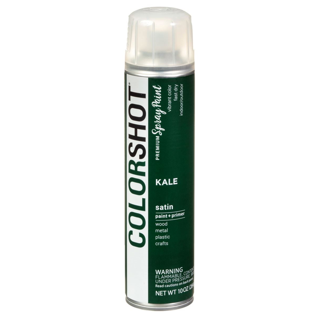 COLORSHOT Premium Multi-Surface Satin Kale Spray Paint - 10 oz - Dark ...