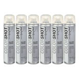 COLORSHOT Premium Spray Paint Metallic Silver Lining (Silver), 10 oz, 6 ...