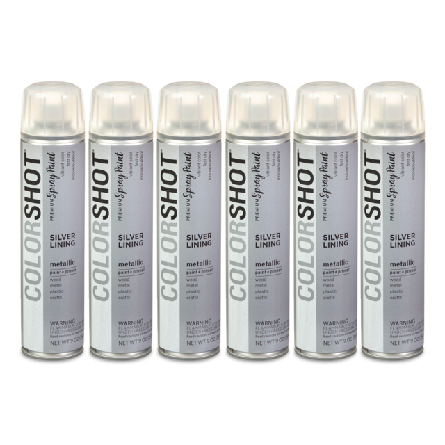 COLORSHOT Premium Spray Paint Metallic Silver Lining (Silver), 10 oz, 6 ...