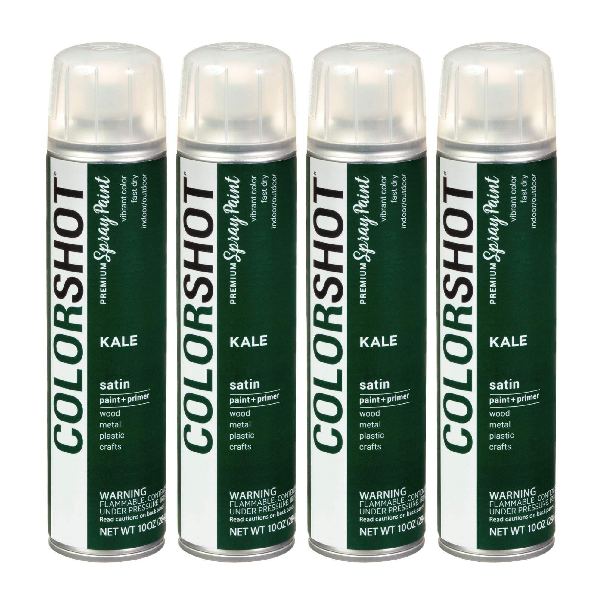 COLORSHOT Satin Spray Paint Kale (Dark Green) 10 oz. 4 Pack - Walmart.com