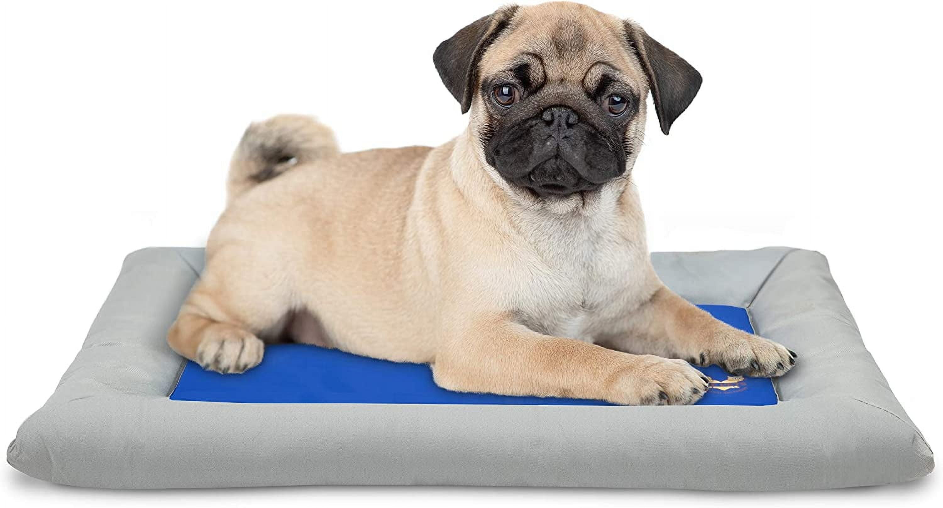 COLOUR Dog Self Cooling Pet Bed – Solid Gel Based Self Cooling Mat for ...