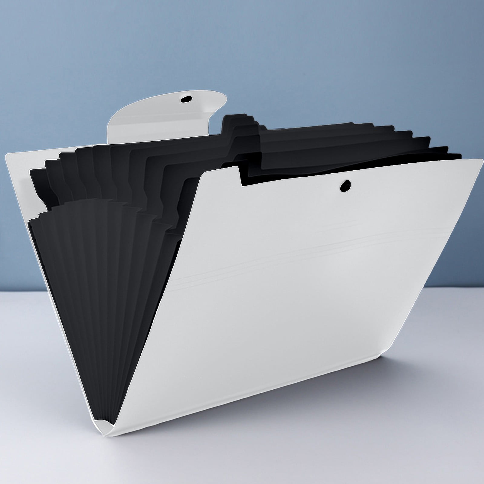 COM1950s Accordion File Folder,Expanding Organizer with 12 Grids for ...