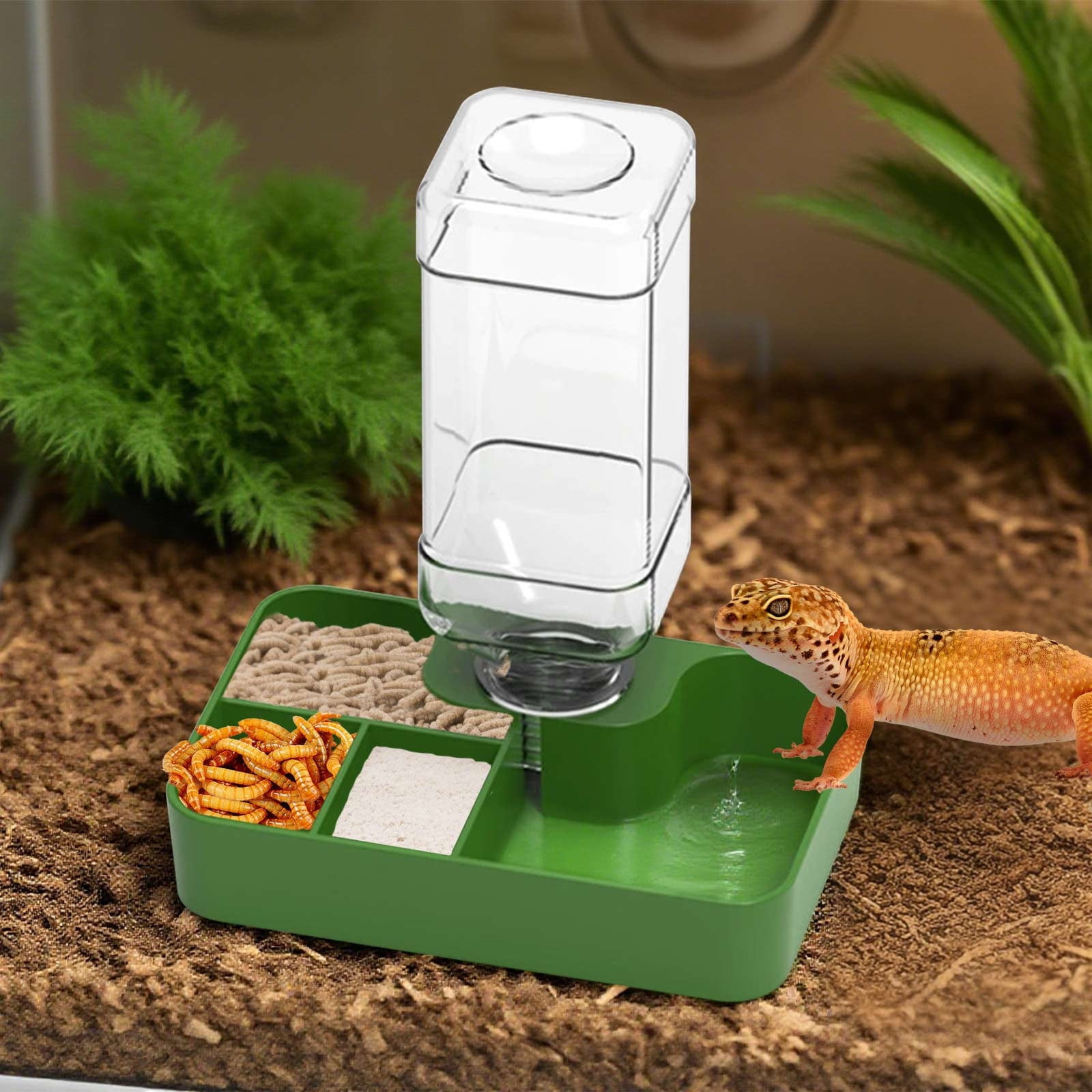 COM1950s Reptile Feeding Dish,Automatic Reptile Water Bowl,Multi ...