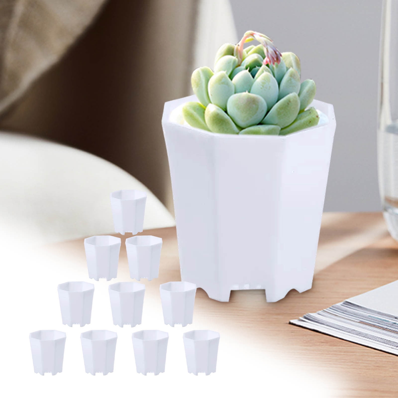 COM1950s Pots 10 Pack,Octagon Plastic Propagation Trays for Seedlings ...