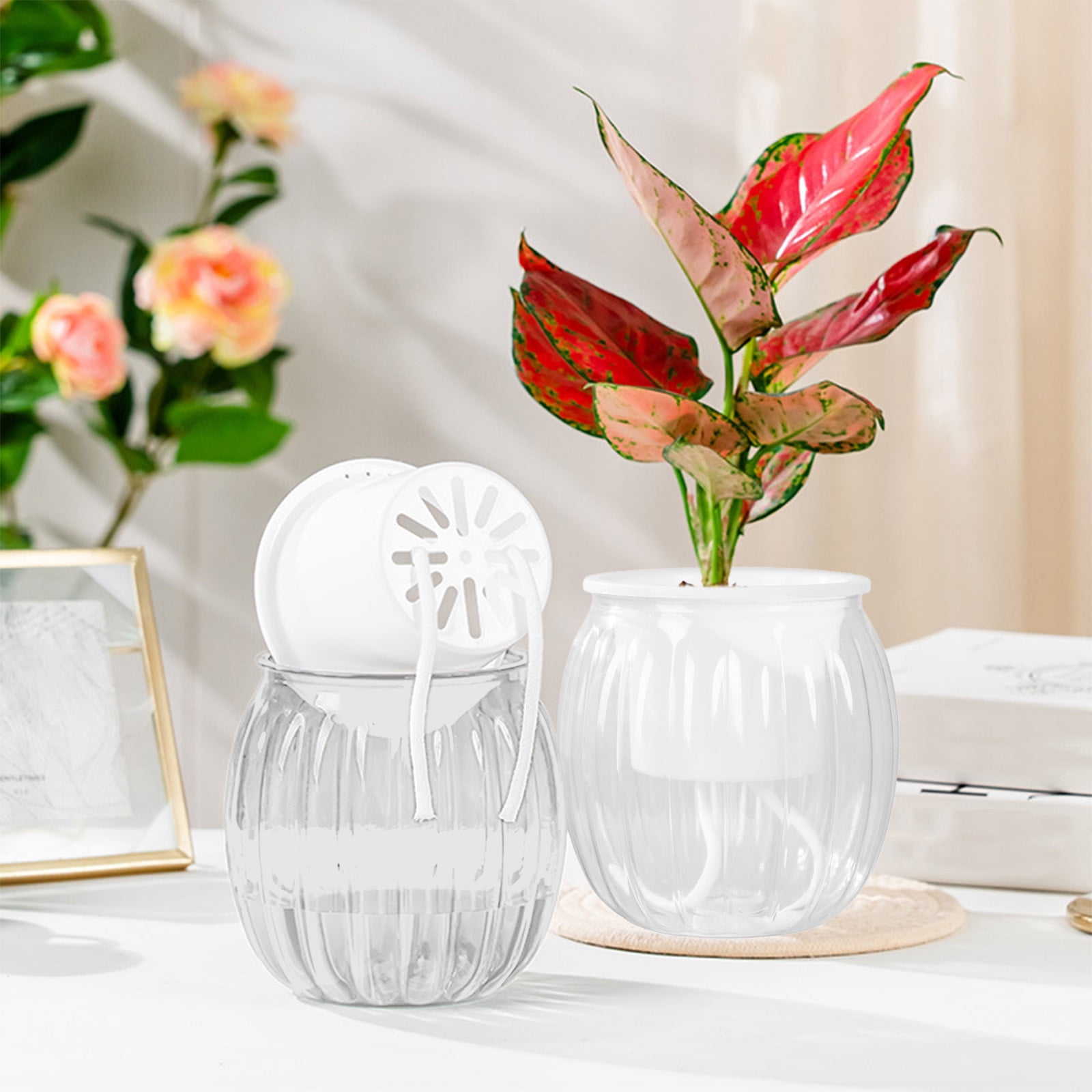 COM1950s Transparent Self-Watering Planter,Small Hydroponic Flower Pot ...