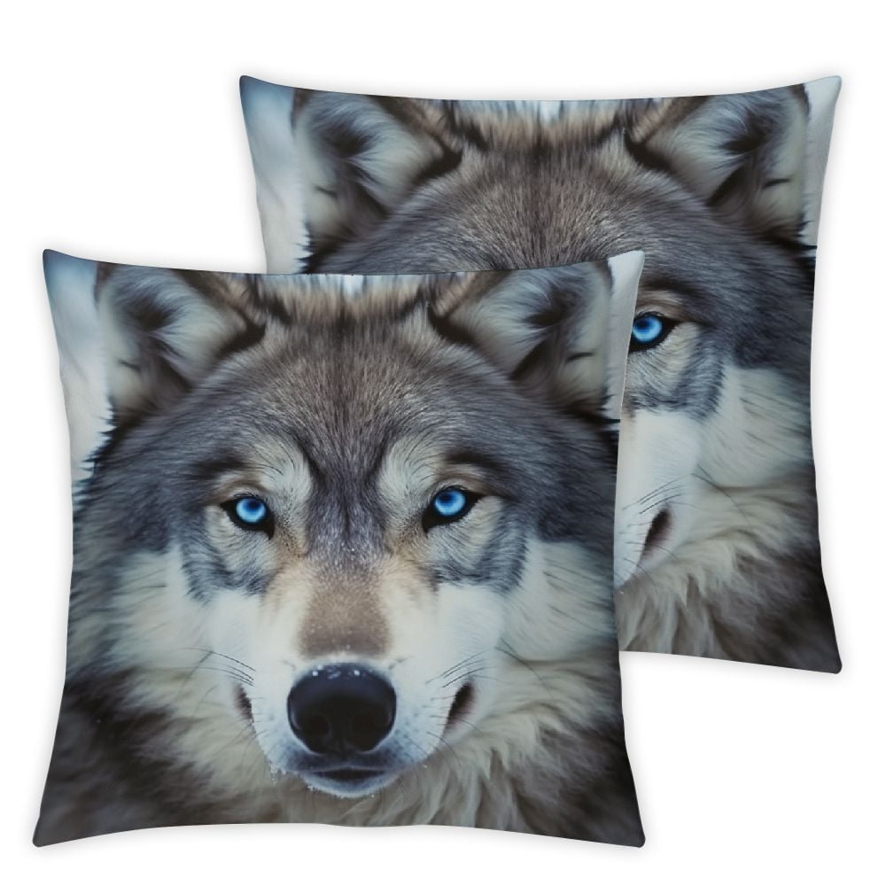 COMIO 2-Piece Short Plush Throw Pillow Cover (Universal 1) Blue-Eyed ...