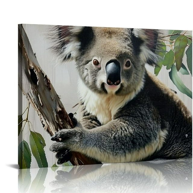 COMIO A Little Koala On The Branch, Australian Koala Wall Art, Koala ...