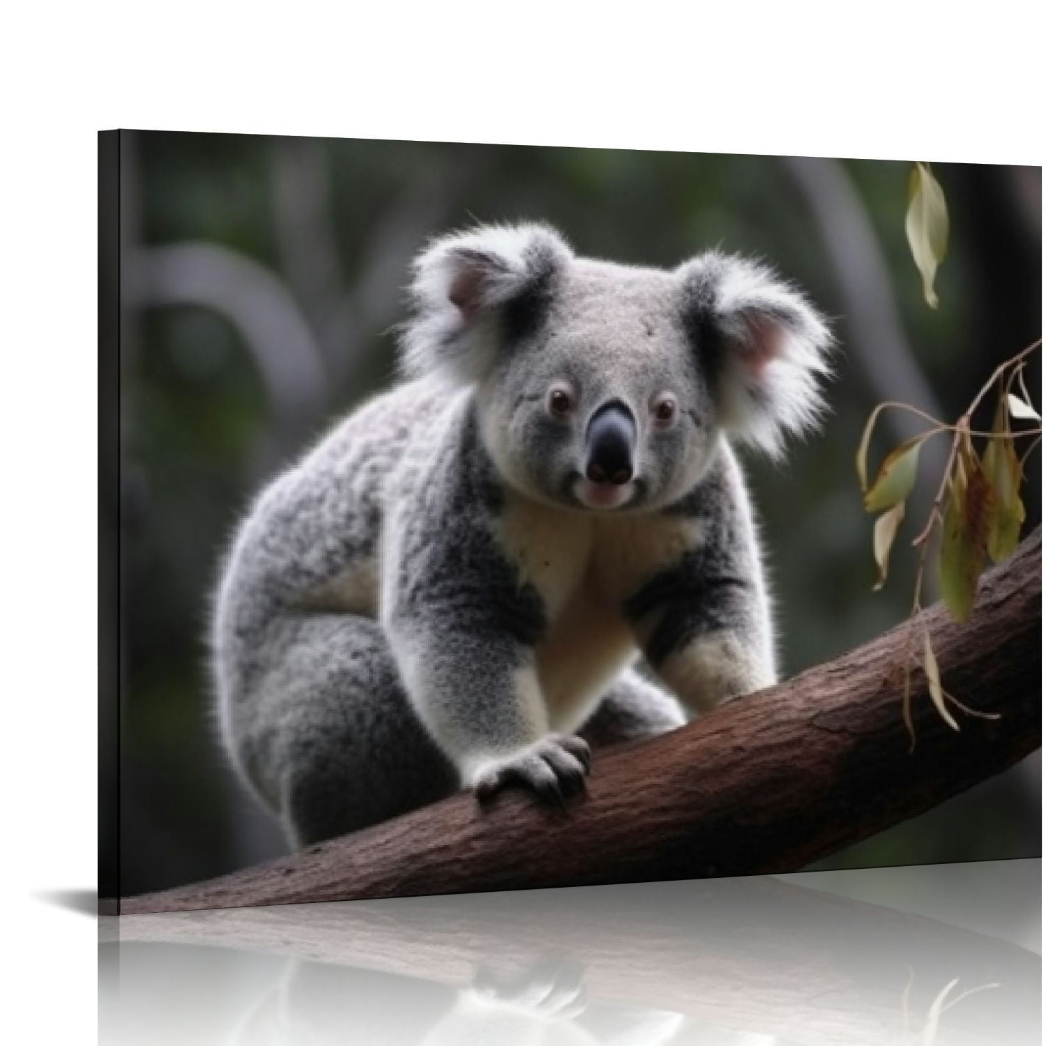COMIO AUSTRALIAN NATIVE KOALA BEAR ANIMAL POSTER PICTURE PRINT Wall Art ...
