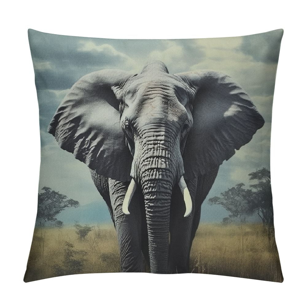 COMIO African Elephant Throw Pillow Case Nature Wildlife African ...