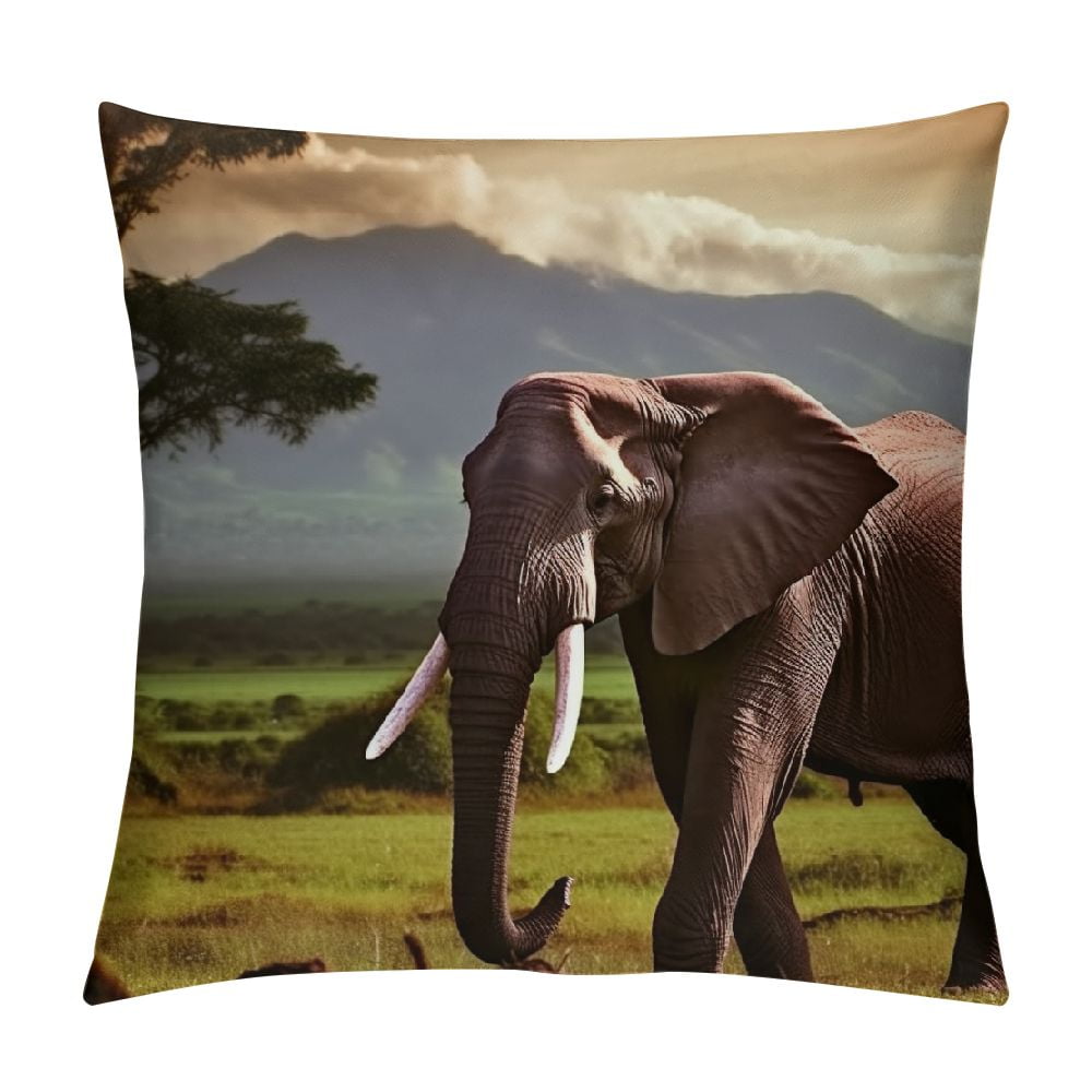 COMIO African Elephant on The Prairie Rustic Farmhouse Style Decorative ...