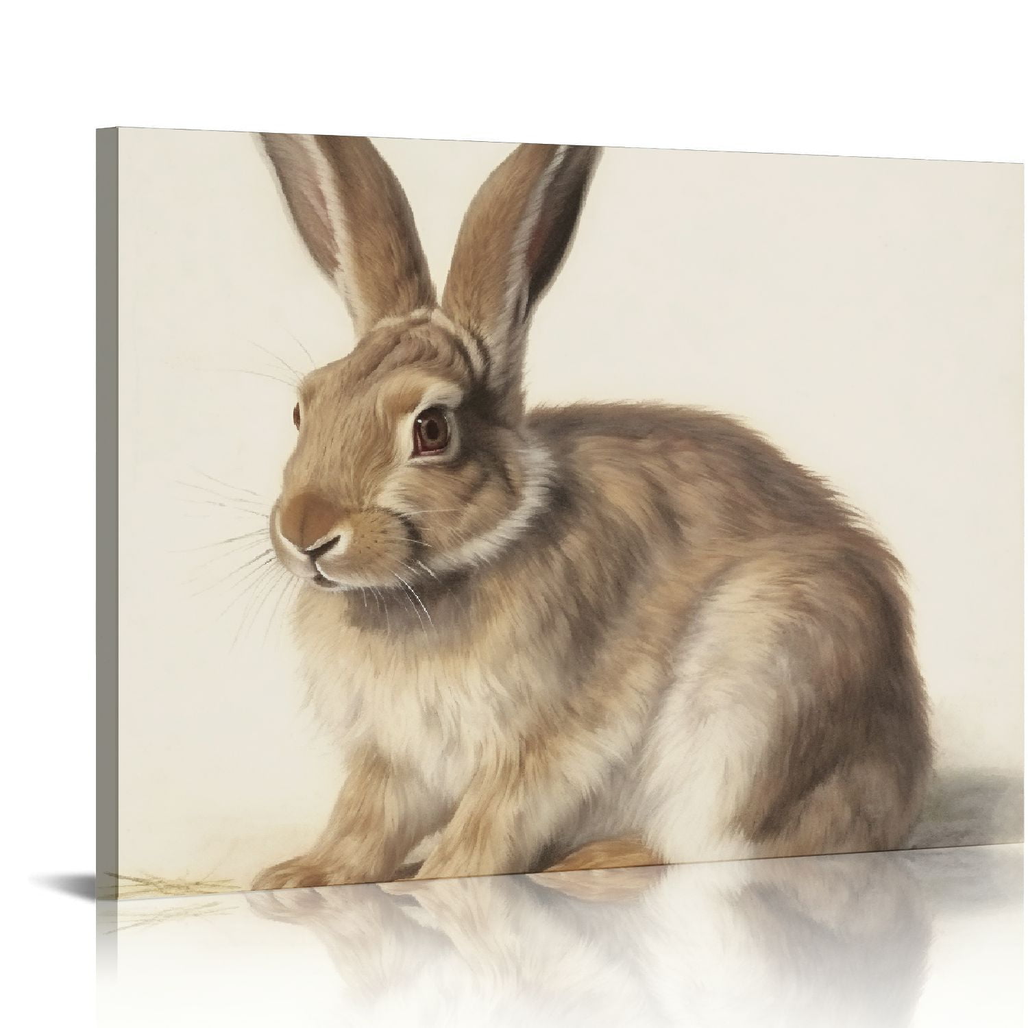 COMIO Albrecht Durer Art Print Poster - Young Hare - Fine Artwork ...