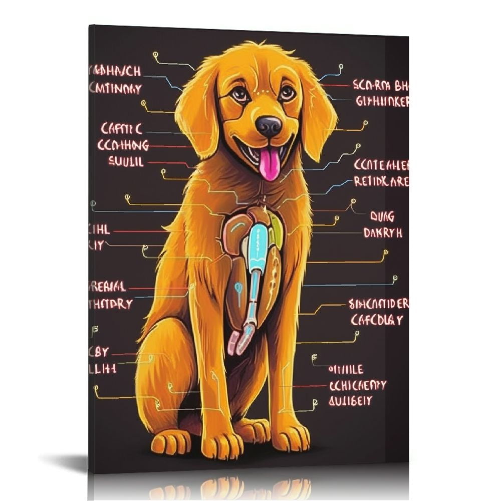 COMIO Anatomy of a Golden Retriever Canvas Painting - Educational and Whimsical Wall Art for Dog ...