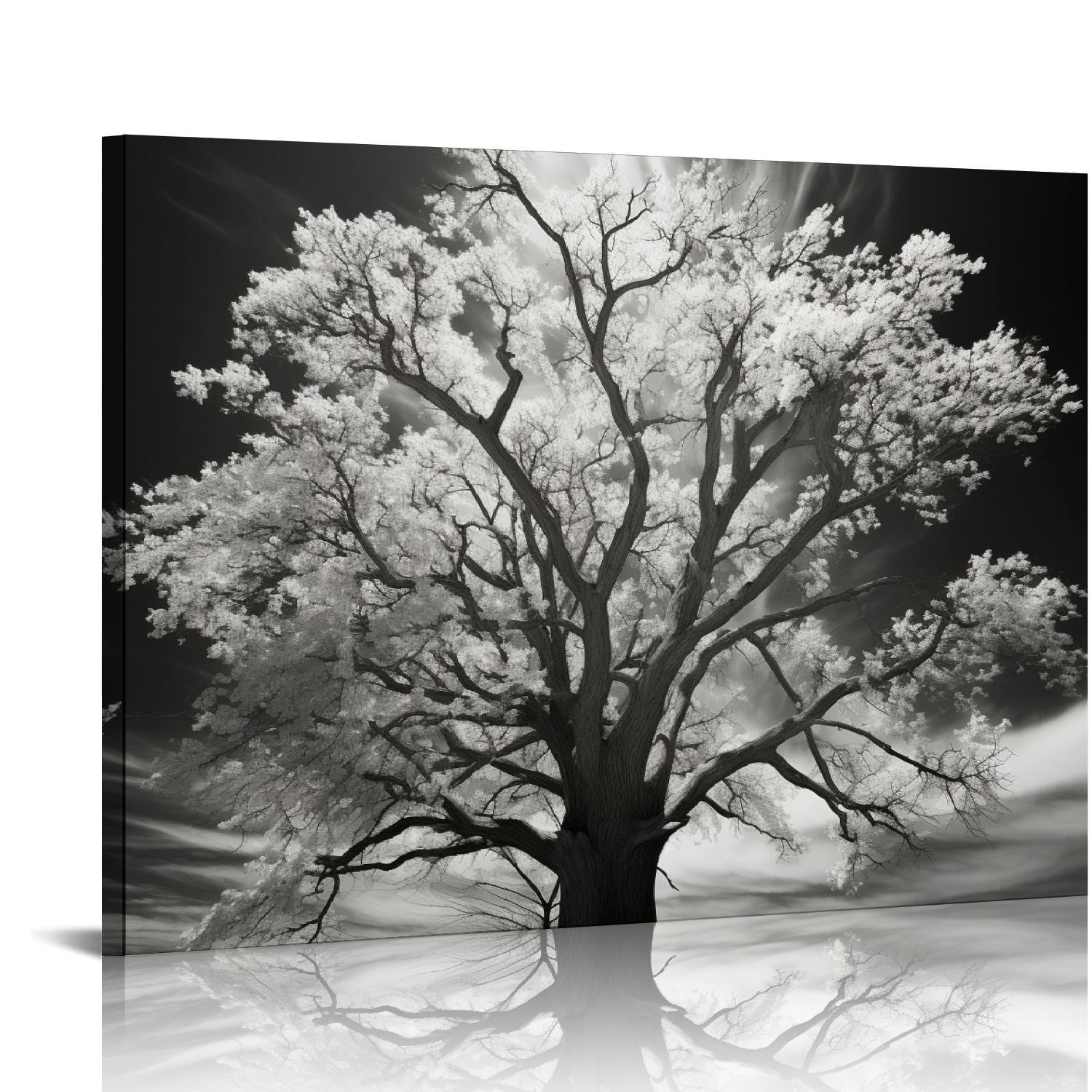 COMIO Angel Oak Tree Monochrome Charleston South Carolina Black White ...
